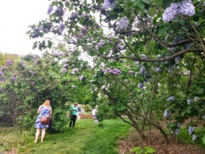 Creating Optimal Healing Environments in a Health Care Setting – Art ...